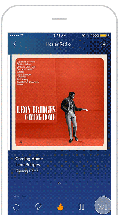 Pandora song store